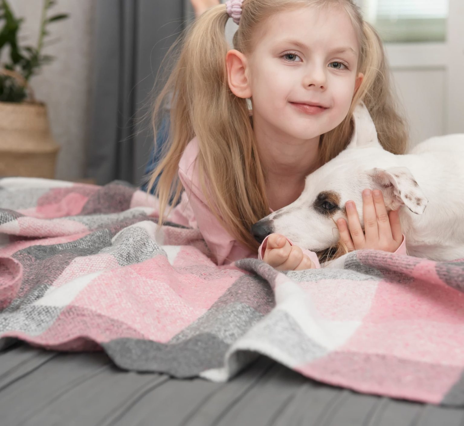 Learn How to Understand Your Dog | Paws In Progress Dog Training